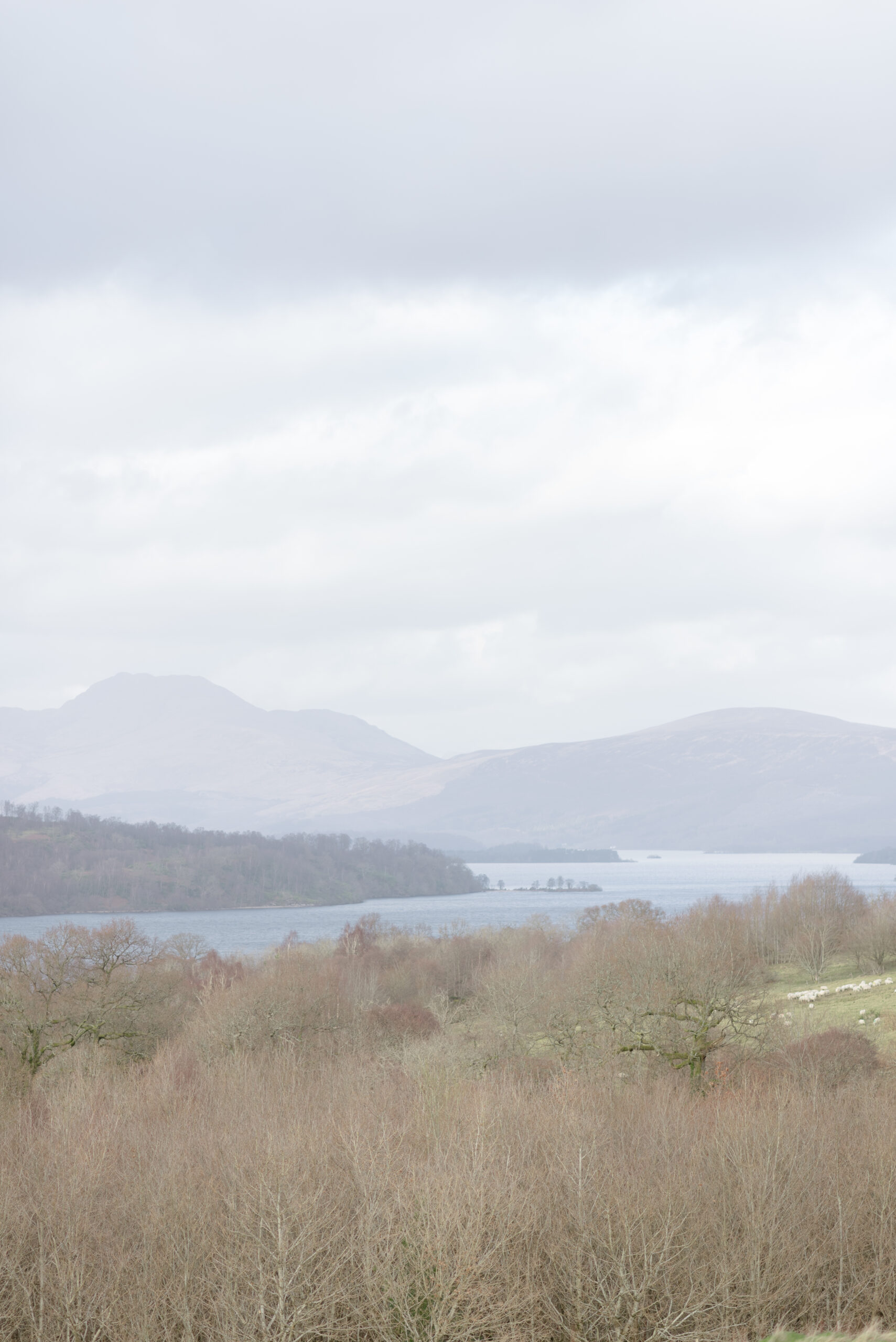 Boturich Castle Wedding Venue on Loch Lomond: A Luxury Castle Wedding ...